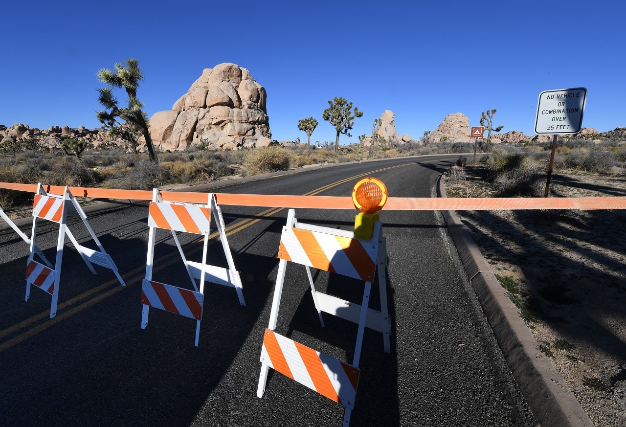 Joshua trees destroyed in national park during US shutdown may take ...