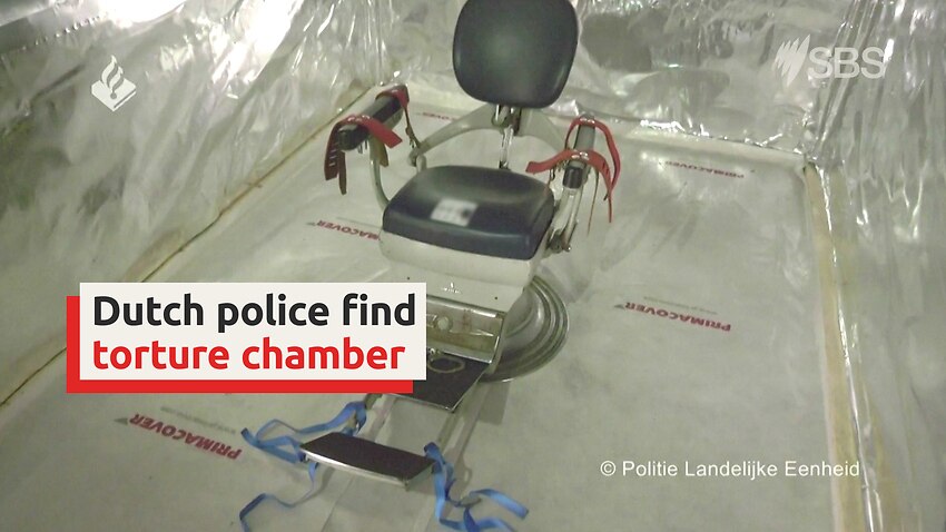 Dutch police discover makeshift torture chamber in shipping container | SBS News