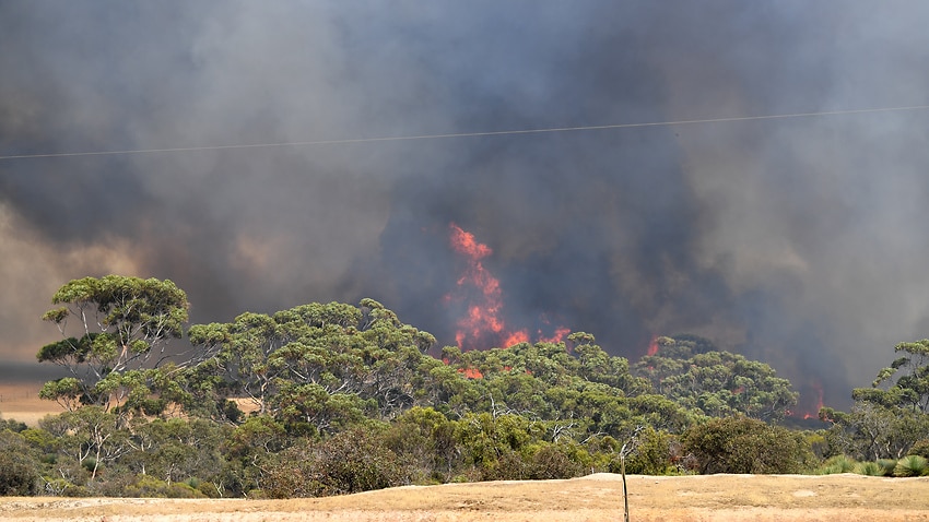 Kangaroo Island fire declared officially contained after burning for ...